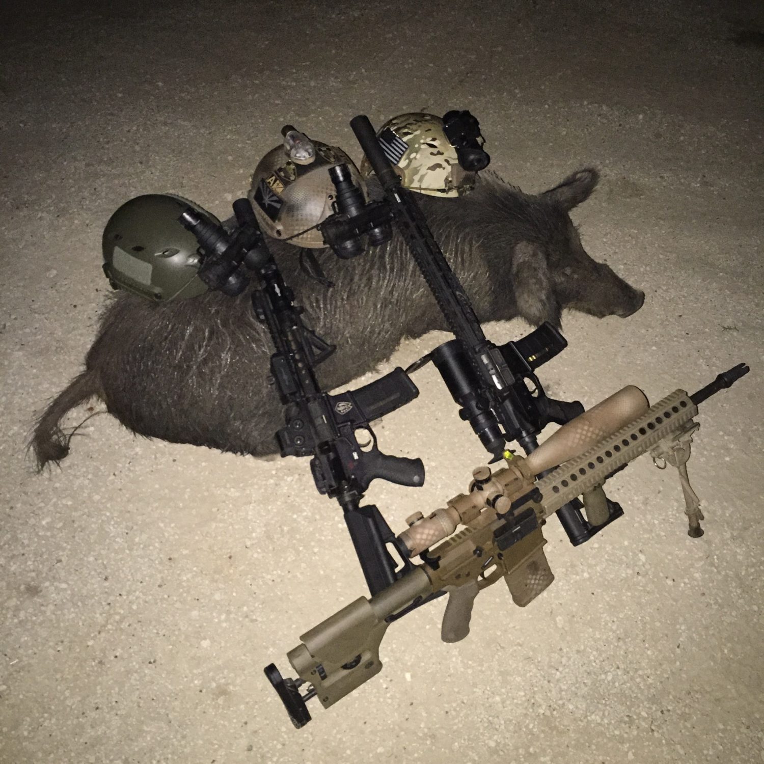 Hog Hunting - Hunt FE Hill Ranch