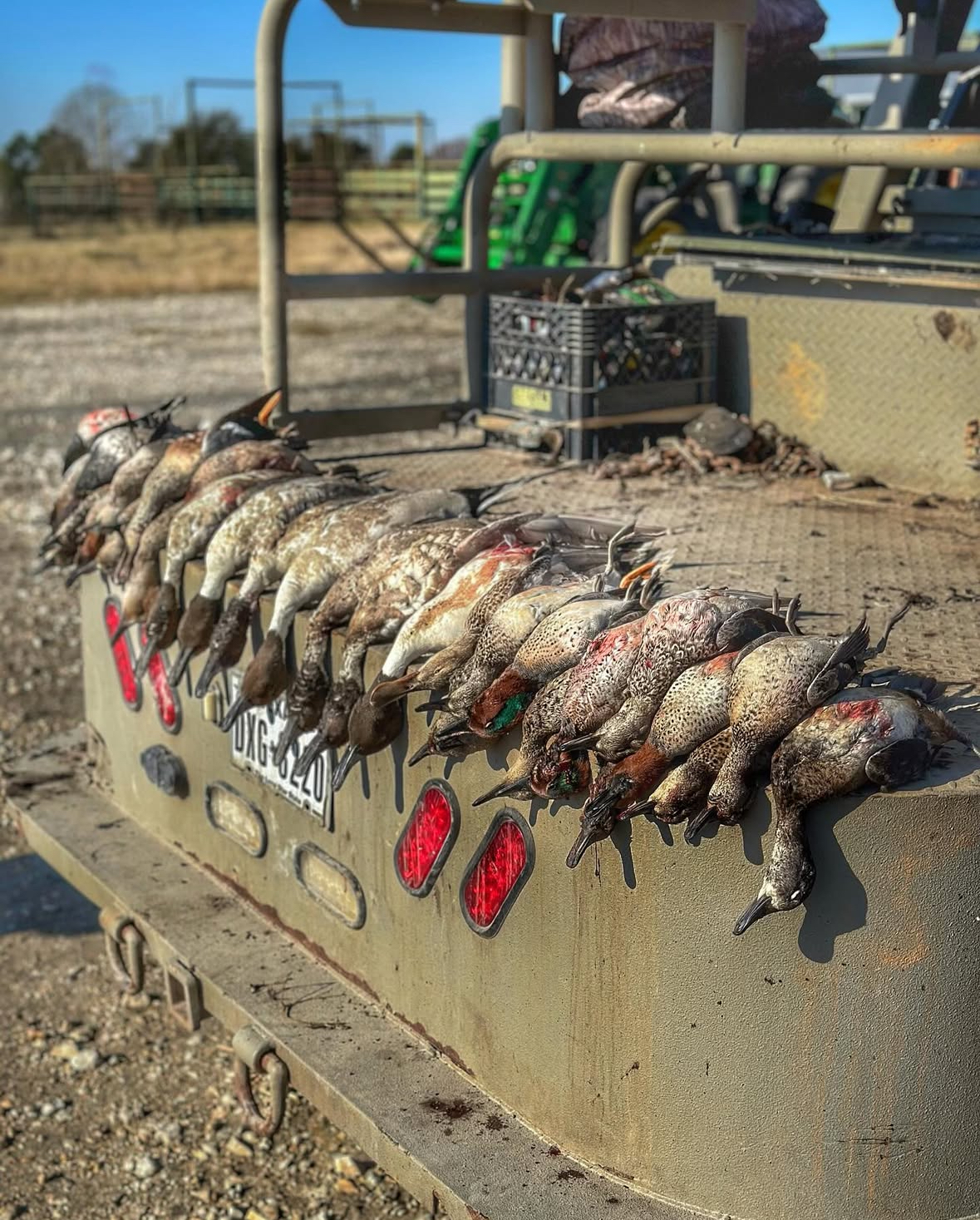 Duck Hunting - Hunt FE Hill Ranch